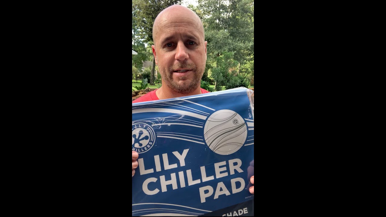 Lily Chiller Pad - Product Review - YouTube