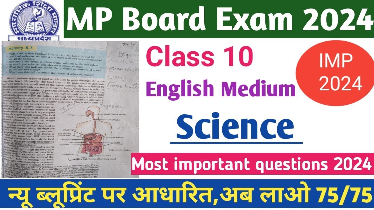 MP Board Class 10 Science Important Questions 2023-24. Class 10 Science ...