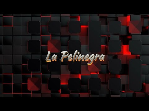 La Pelinegra - La Adictiva Ft Gabito Ballesteros [Lyric Video] - YouTube