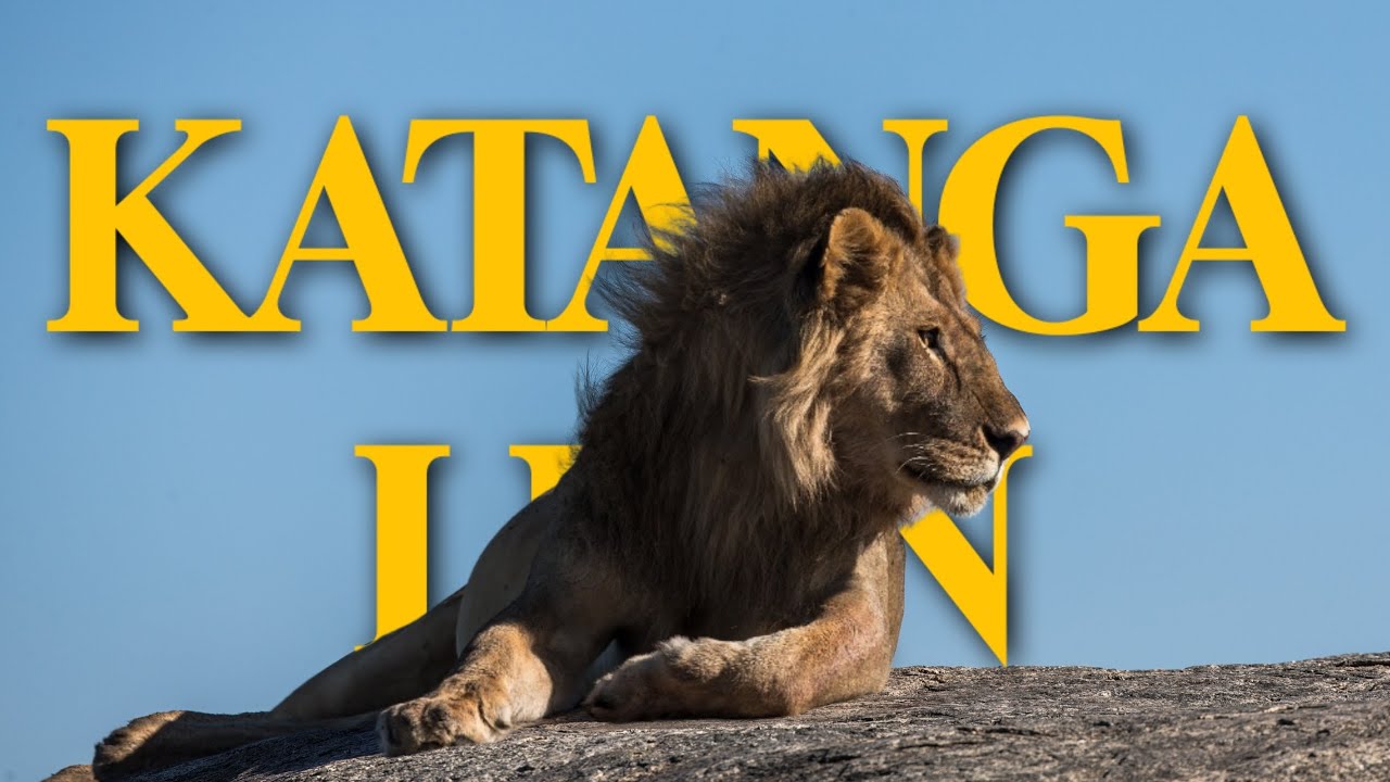 Katanga Lion in 17 Fascinating Facts ft Critter Gospel - YouTube