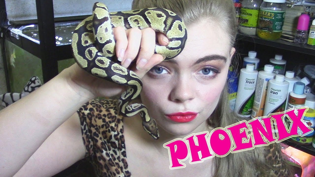 MEET MY PETS: PHOENIX - YouTube
