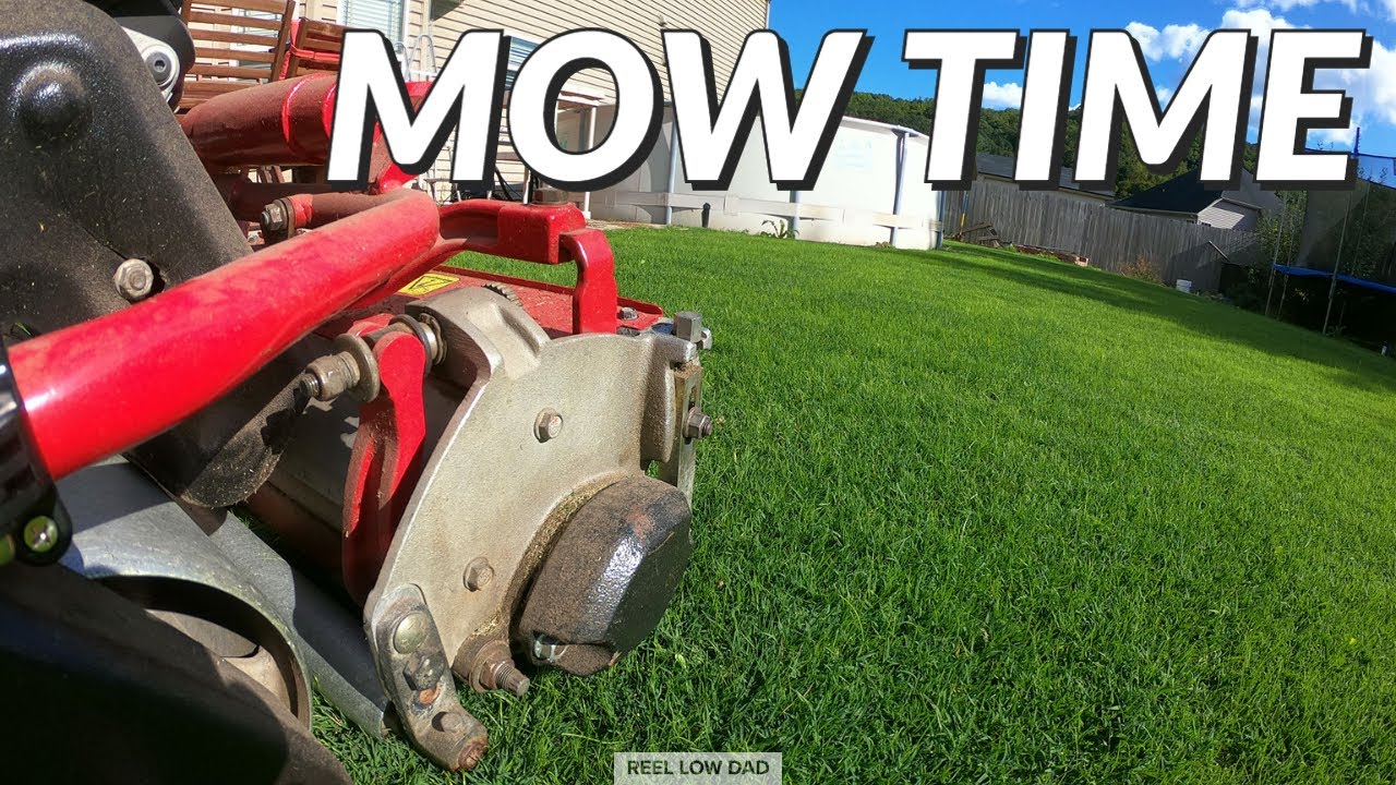 Kentucky Bluegrass First Mow // Bluemuda Lawn Renovation - YouTube