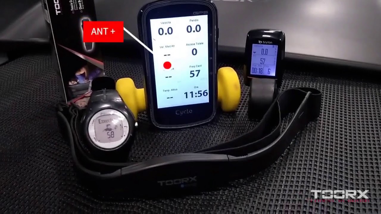 Fascia cardio a tripla trasmissione - YouTube
