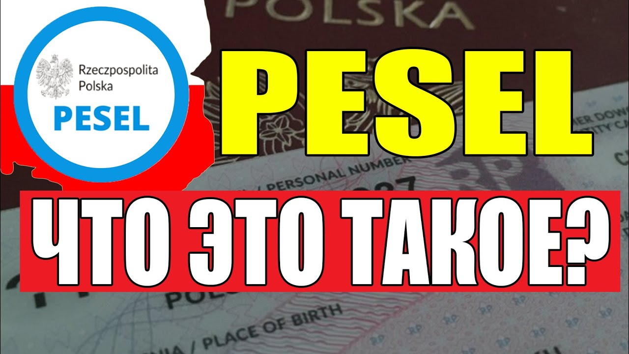Что такое PESEL в Польше и как его получить? - YouTube