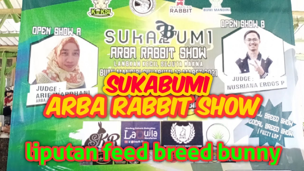 ARBA RABBIT SHOW 2021 sukabumi | liputan kegiatan - YouTube