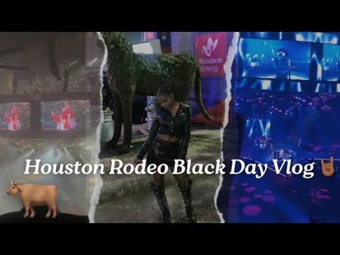 Houston Rodeo Black Day Vlog ll Drake & Bun B + more - YouTube