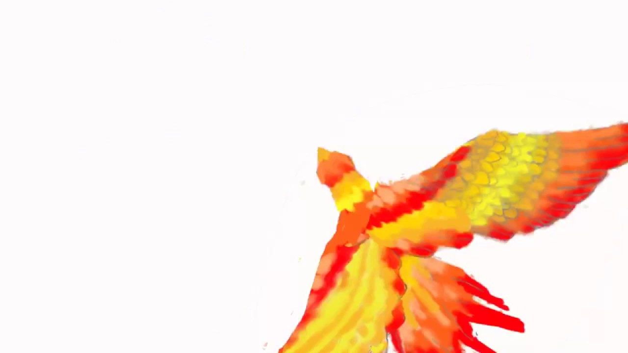 || Phoenix Animation || - YouTube