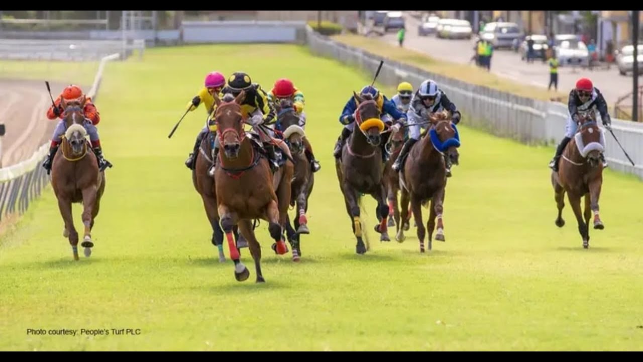 En Piste - Saison 2024 - 13ème journée - YouTube