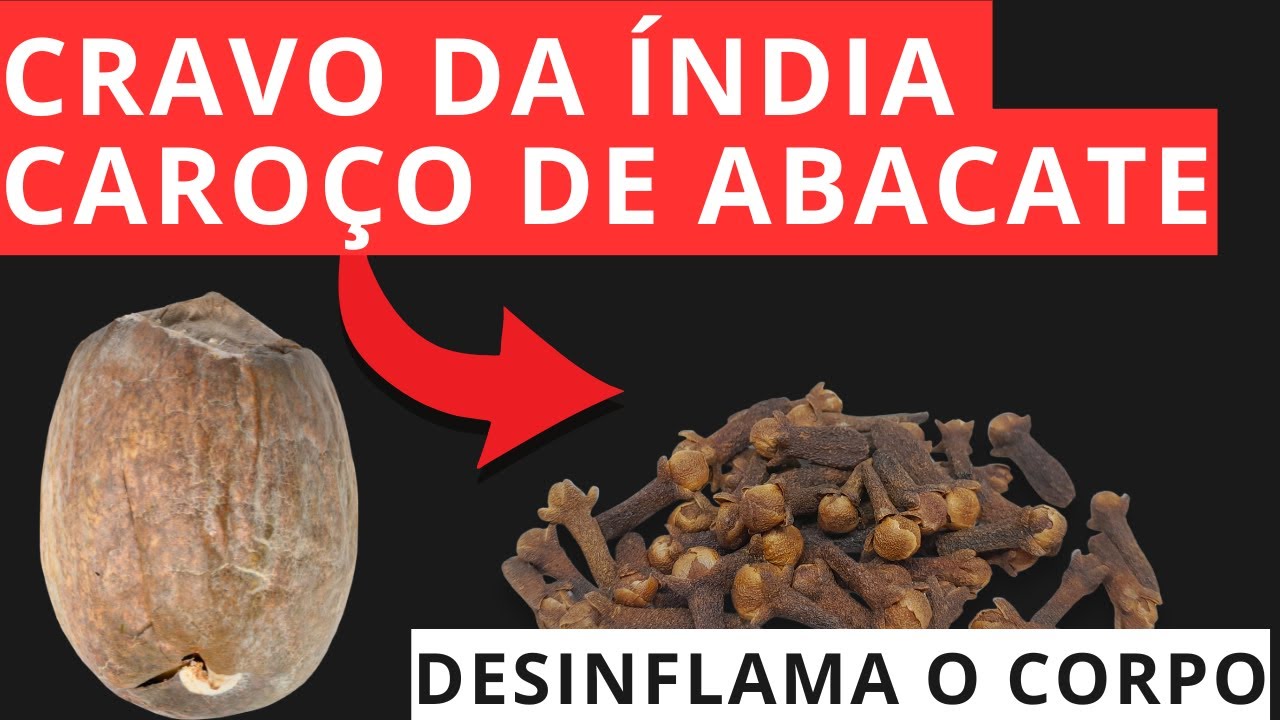APENAS 1 COLHER por DIA – 10 BENEFÍCIOS INCRÍVEIS do CAROÇO DE ABACATE ...