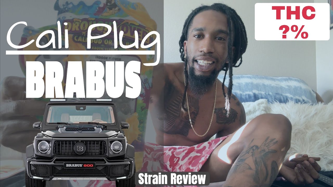 Cali Plug Barbus Strain Review - YouTube