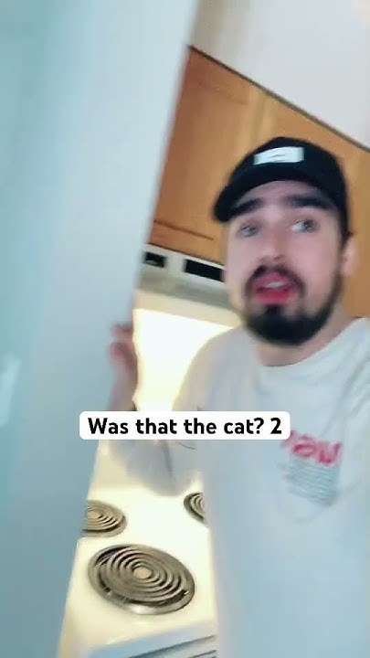 Was that the cat? 2 - YouTube