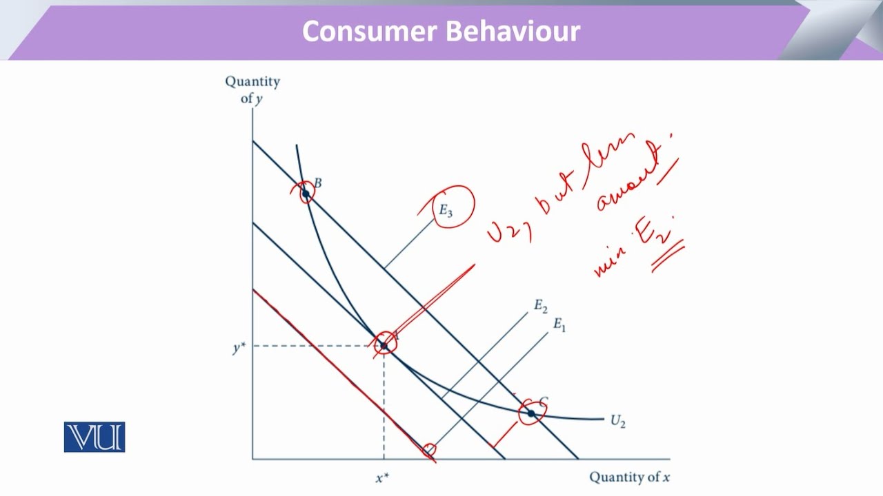 Consumer Behaviour: Expenditure Function (Concept) | Microeconomic ...