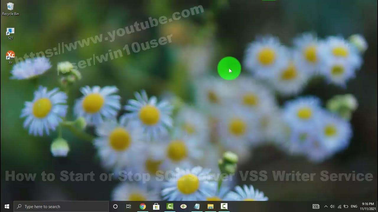 Windows 10 Home : How to Start or Stop SQL Server VSS Writer Service ...