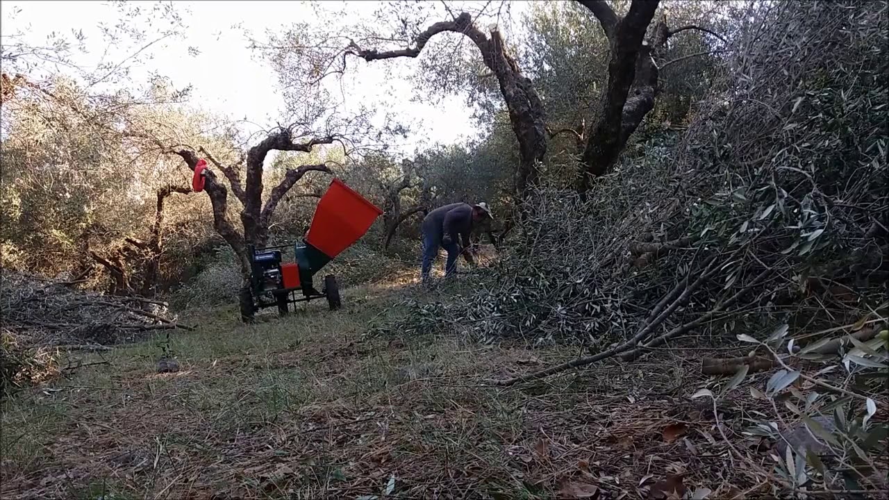 ΚΑΤΑΣΤΡΟΦΕΑΣ ΘΡΥΜΜΑΤΙΣΤΗΣ ΚΛΑΔΙΩΝ, ΣΙΚ ΚΥΡΙΑΚΑΚΗΣ - YouTube