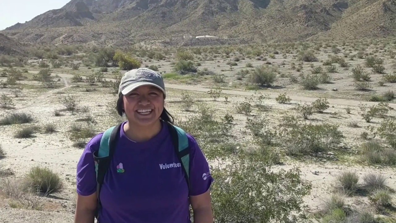 Walking with a Geologist on the Cove to Lake Trail - YouTube