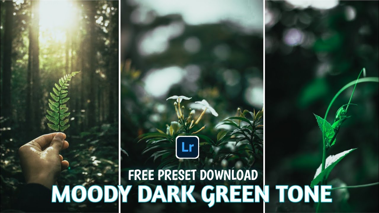Moody Green Tone Editing | lightroom moody green dark preset | #preset ...
