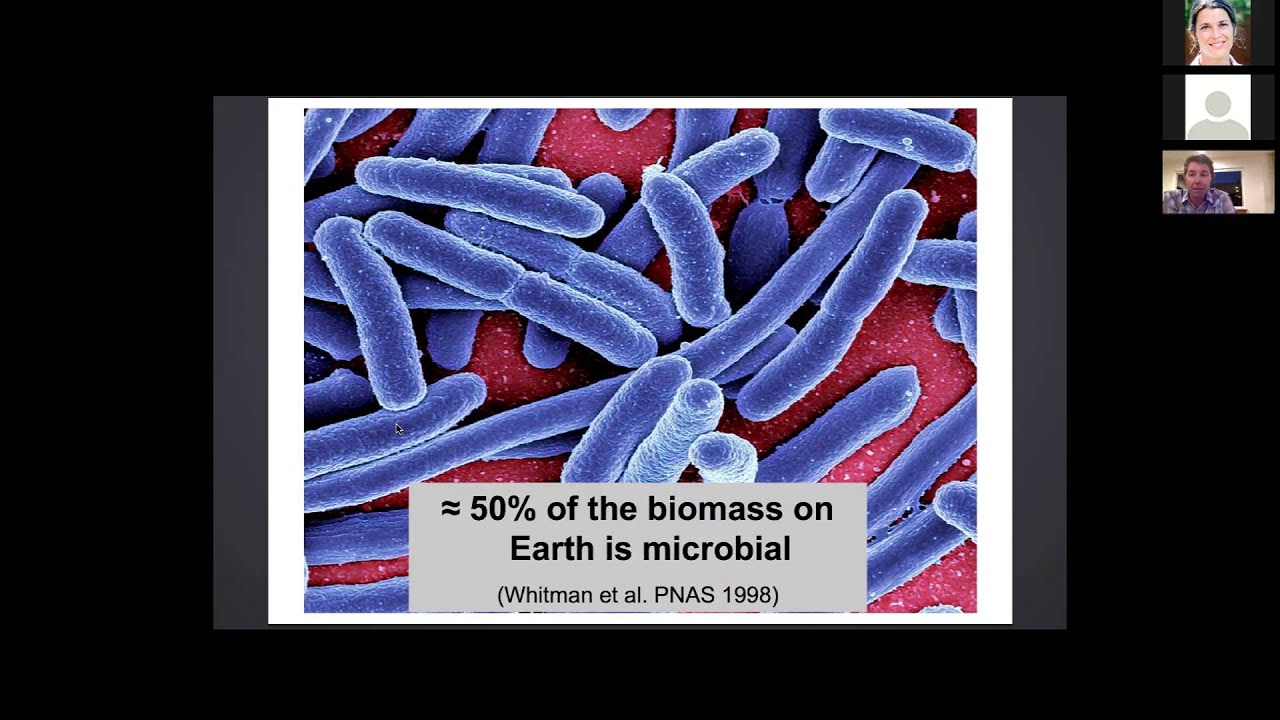 Exploring Microbial Diversity in the Environment - YouTube