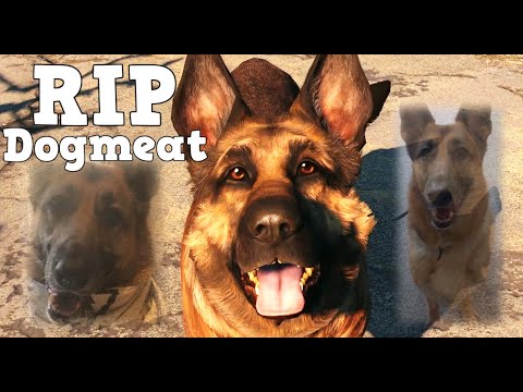 R.I.P River aka Dogmeat from Fallout 4 (A Good Boy Tribute) - YouTube