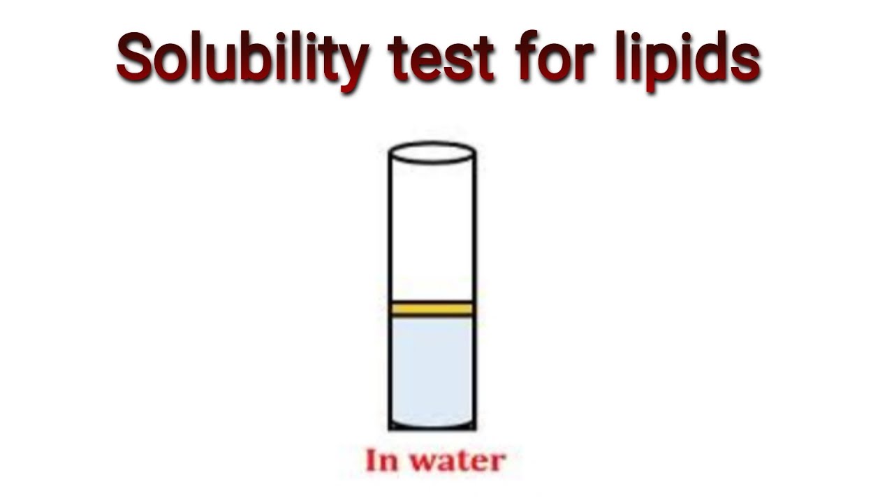 Solubility Test for Lipids| Knowledge Academy - YouTube