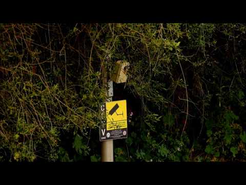 Wren nesting in CCTV camera housing