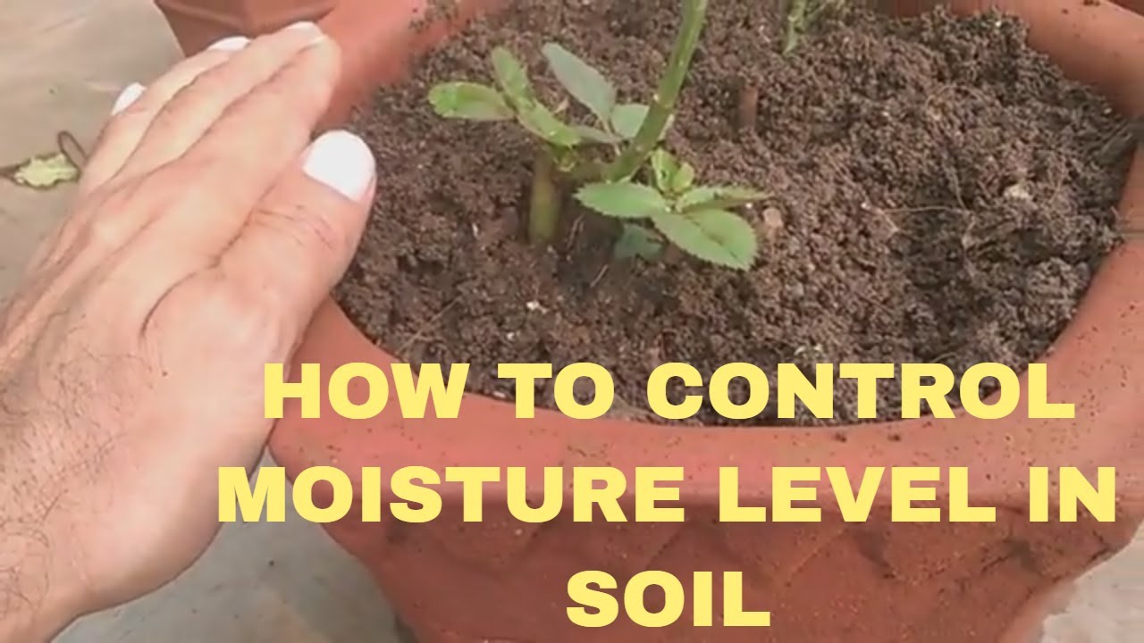 CONTROLLING MOISTURE LEVELS IN SOIL BY INCREASING AIRFLOW IN SOIL - YouTube
