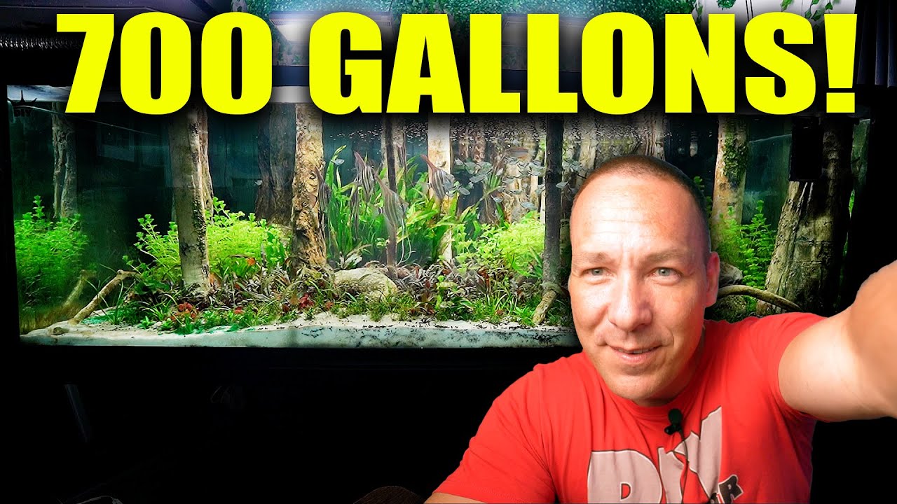 THE TRUTH IS FINALLY HERE!!!! the king of DIY exposes the 700G aquarium ...