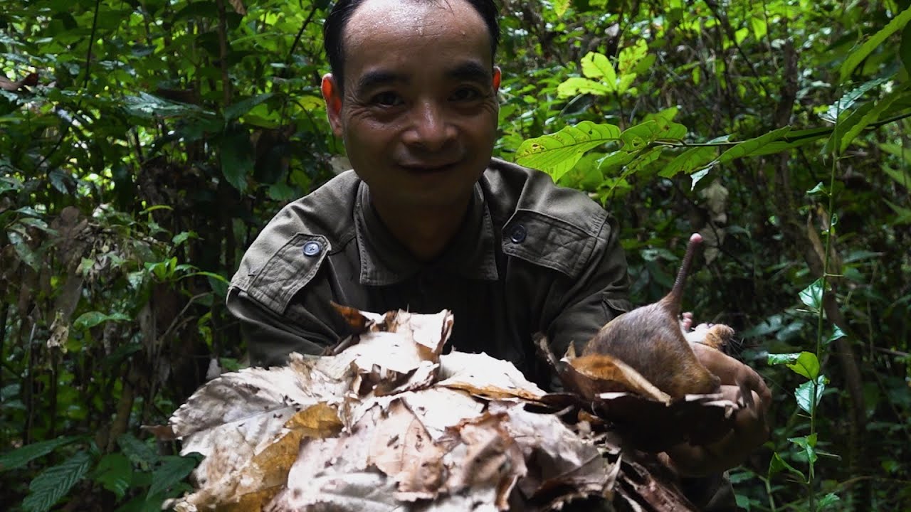 Food is everywhere | LIVING OFF THE GRID | Episode 8 - YouTube