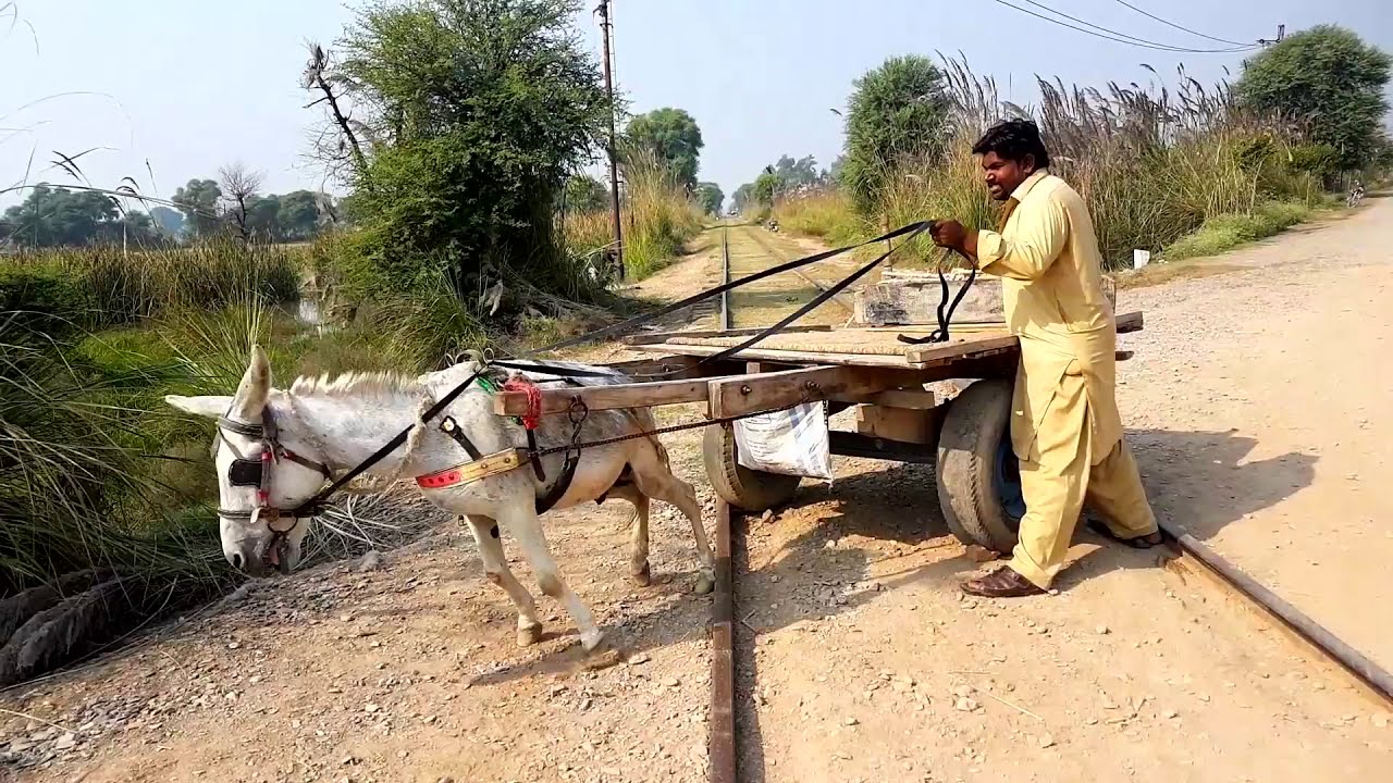 Train vs Gadha Gari Wala new video Social Message - YouTube
