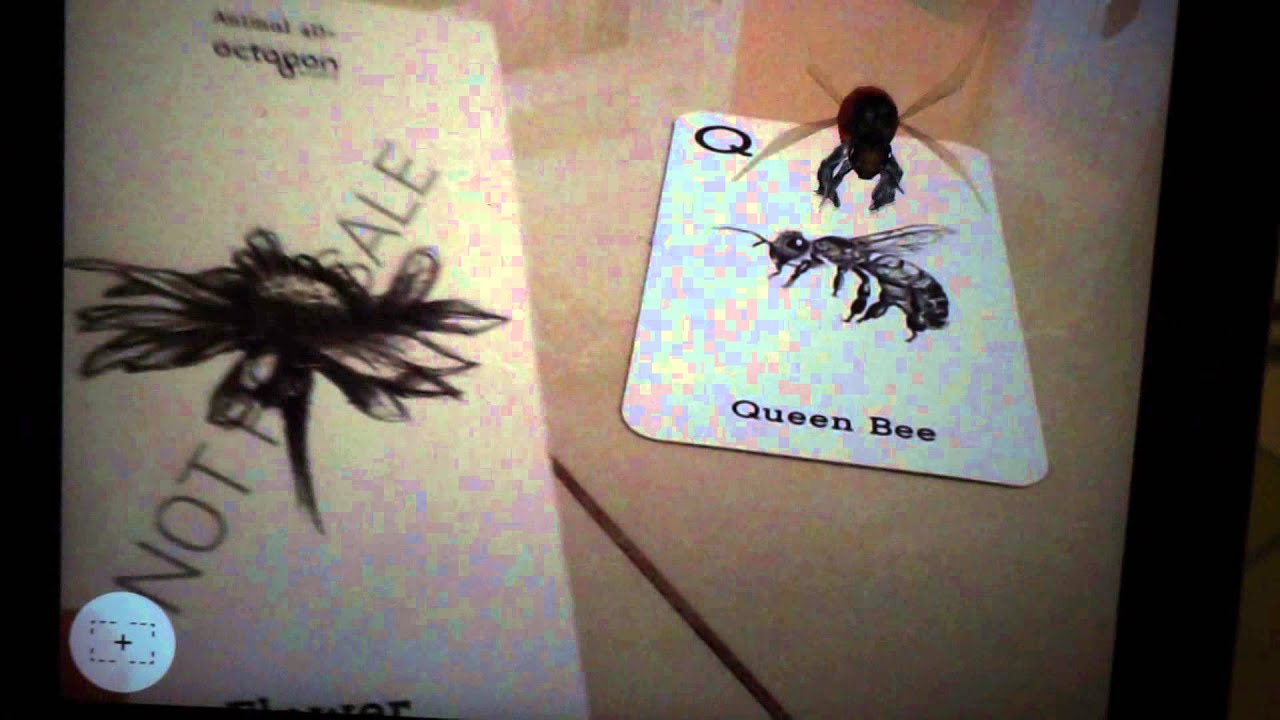 Animal 4D+ Flash Card Bee and Flower - YouTube