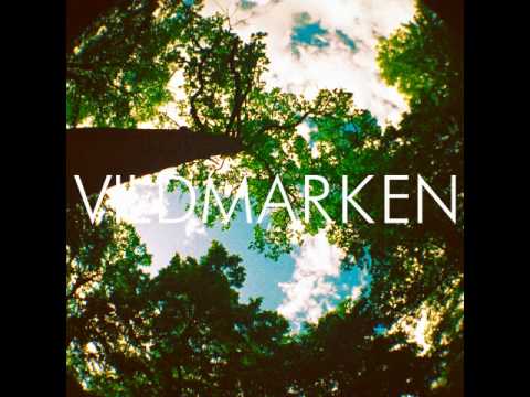 Behzad Mehrnoosh - Stjärnstoff