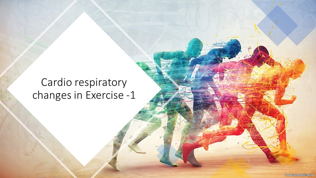 Cardio respiratory changes in exercise 1 - YouTube