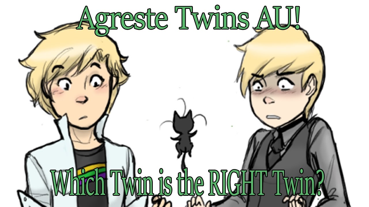 [Miraculous Ladybug Comic Dub] Agreste Twins AU! | Which Twin is the ...