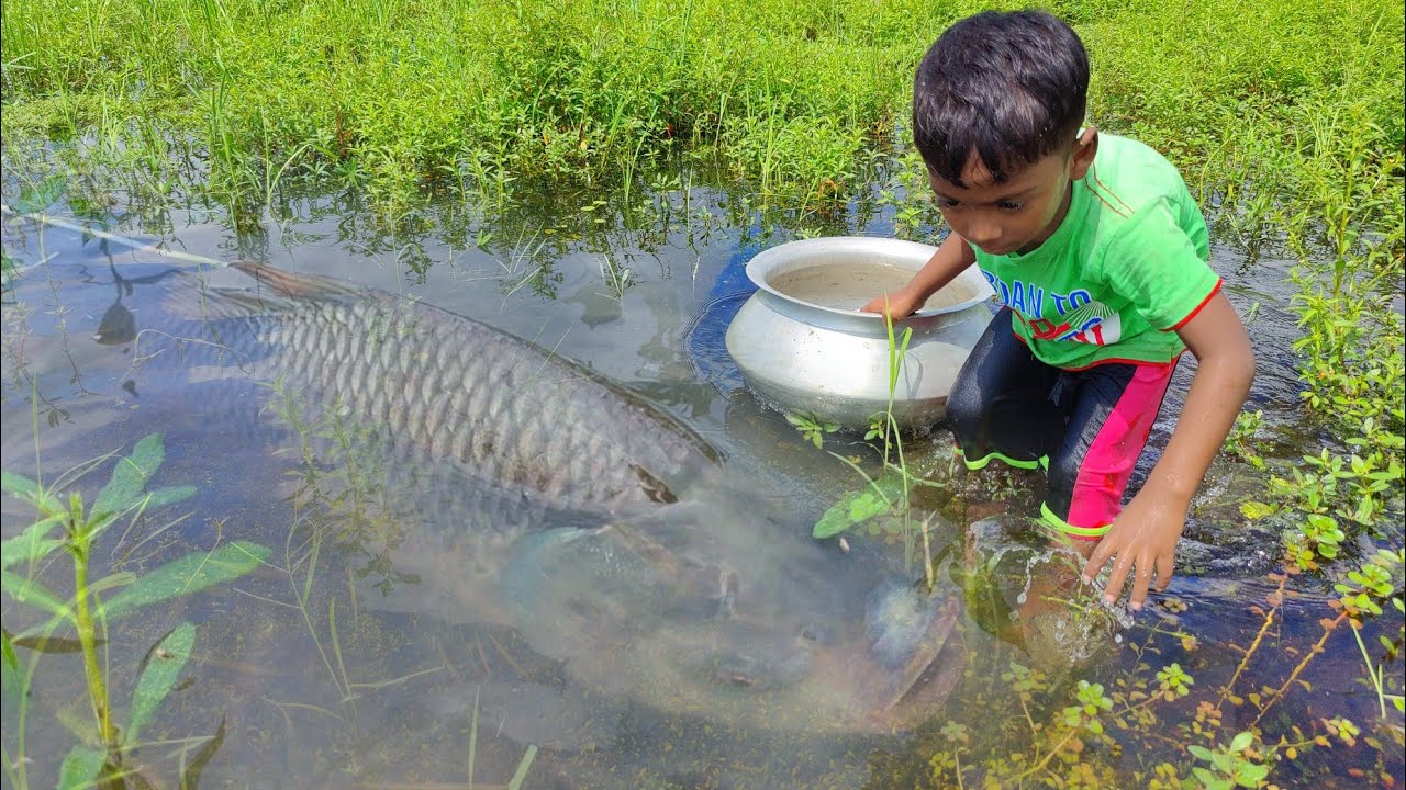 Wow! Amazing Hand Fishing Video | Traditional Boy Catching Big Fish By ...