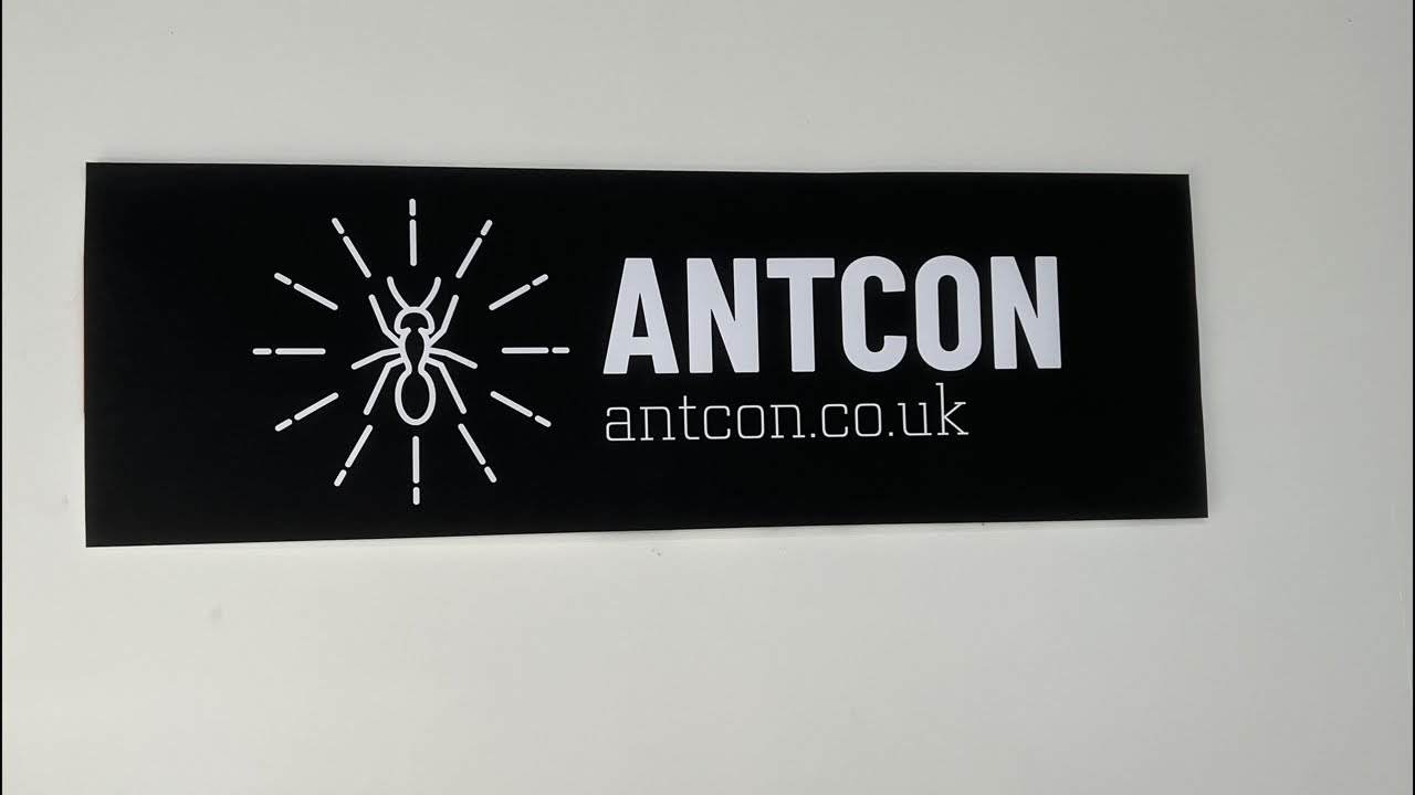 First look at Ant Con and Ant Antics Shop! - YouTube