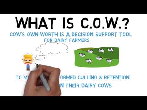 What is C.O.W.? - YouTube
