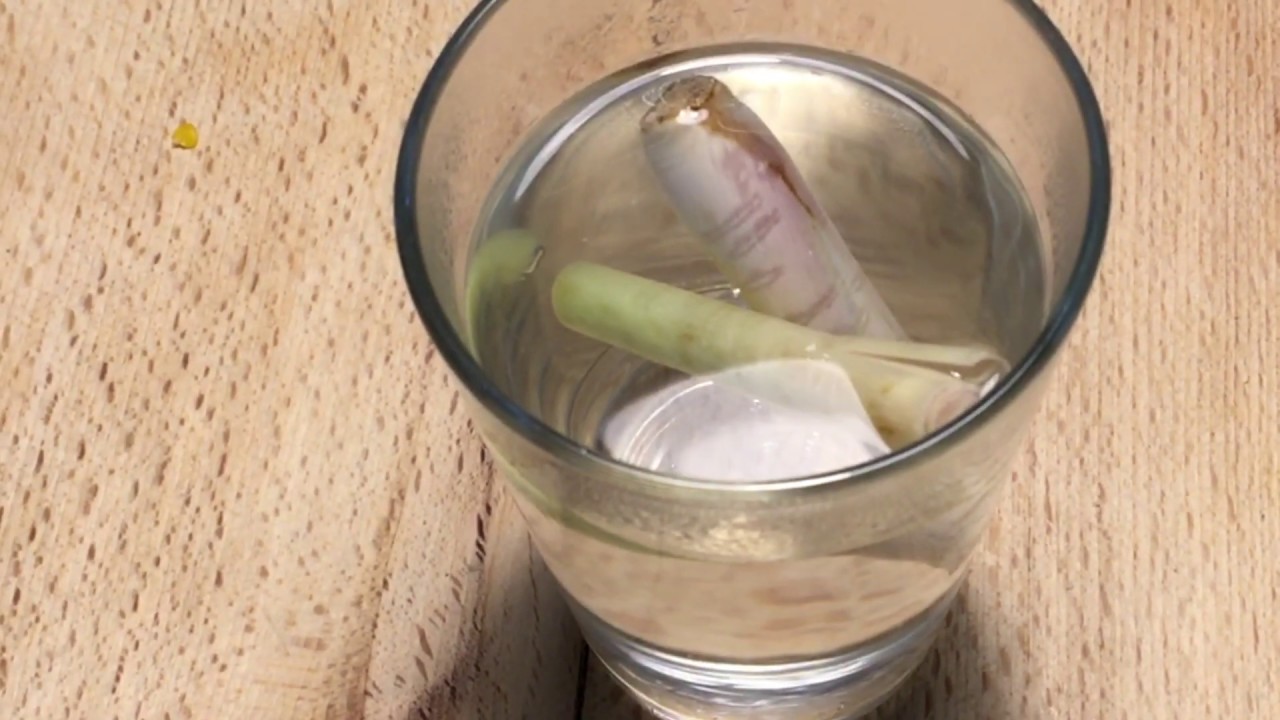 5 bienfaits de L'Infusion Citronnelle - YouTube