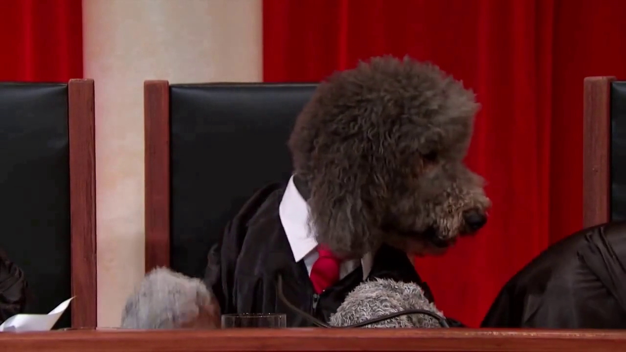 Lee v. Tam: Oral Argument - January 18, 2017 - YouTube