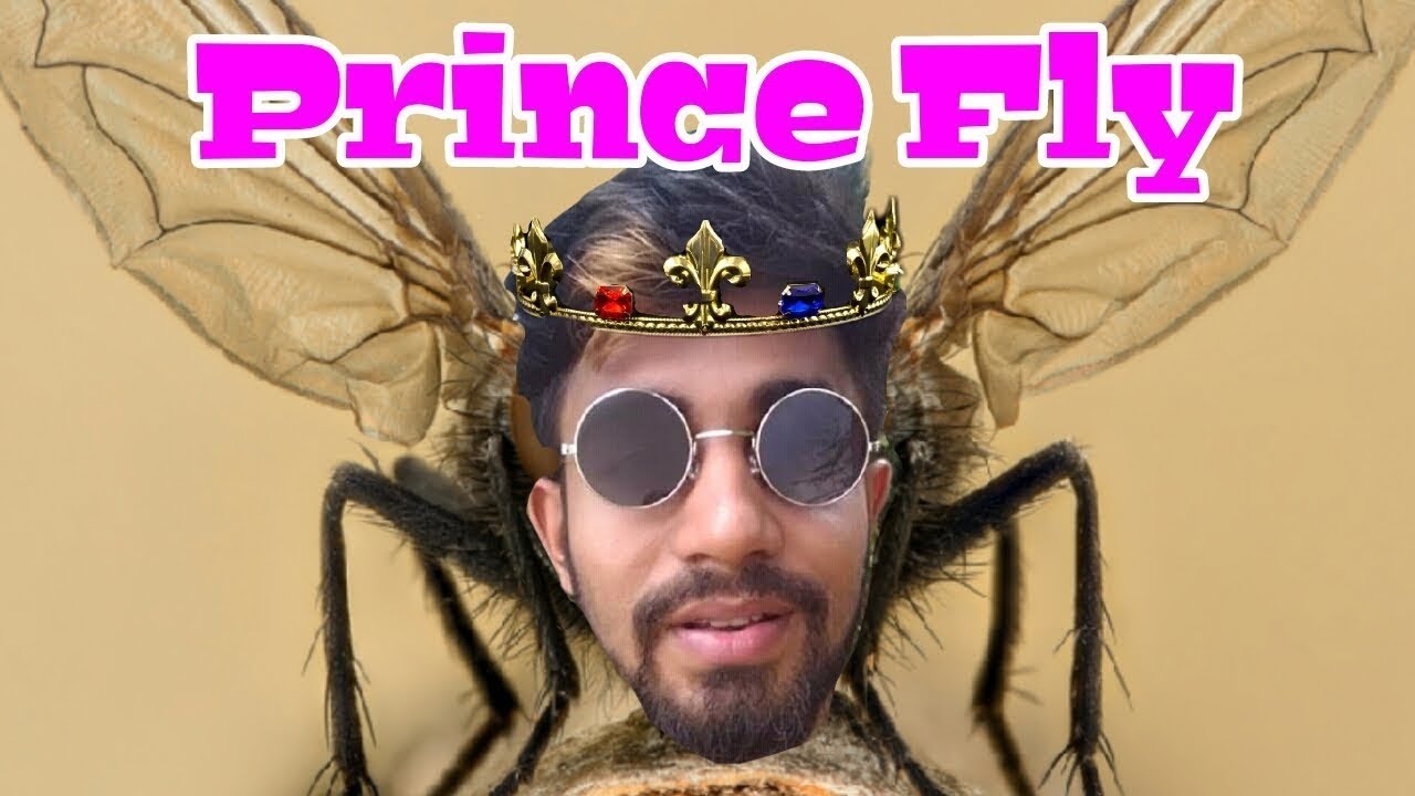 Prince Fly PT 3 (Principe Mosca N 3) - YouTube