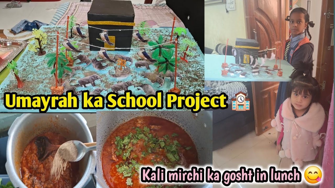 Umayrah ka School Project + Kali Mirchi Ka Gosht | Ghar ka Cozy Vlog ...
