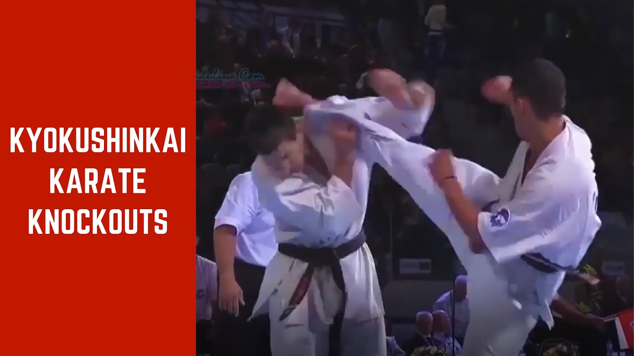 Kyokushinkai Karate Knockouts - YouTube