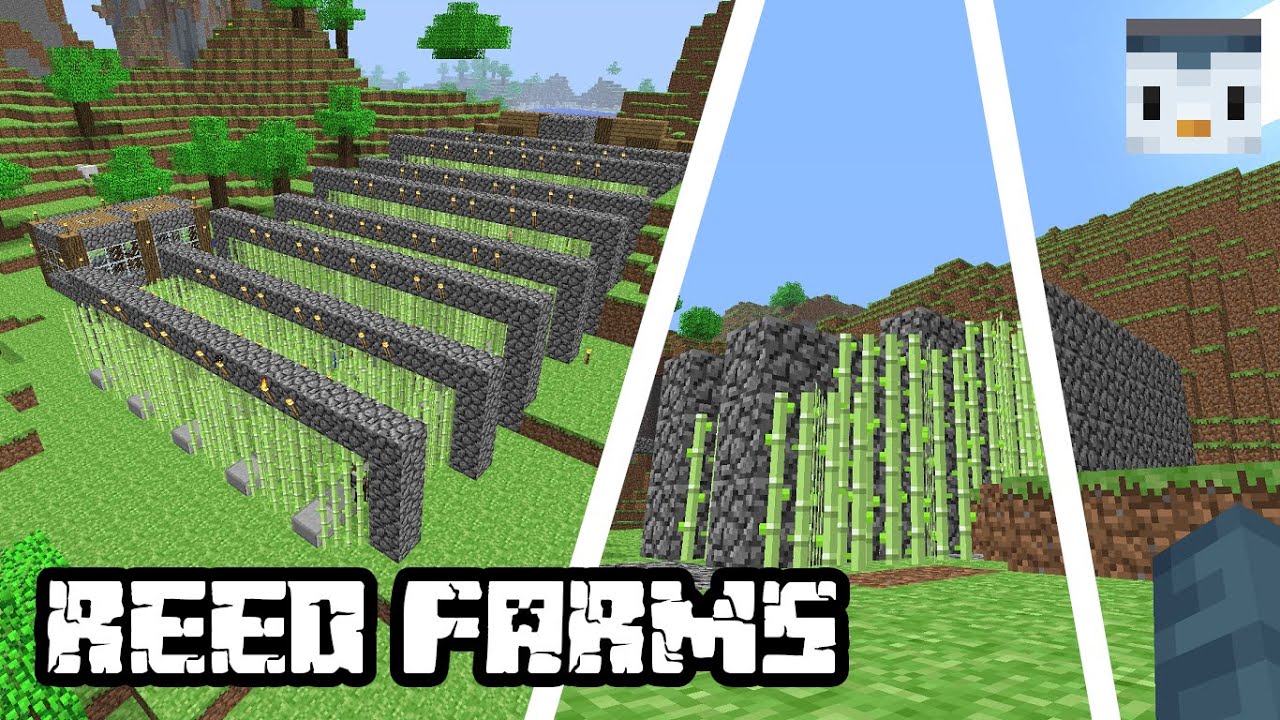 Semi-Automatic Reed Farming!! - Showcase - 3 - YouTube