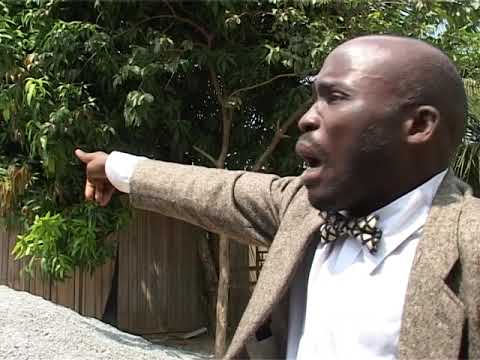Cauphy et le pentagone d'Afrique