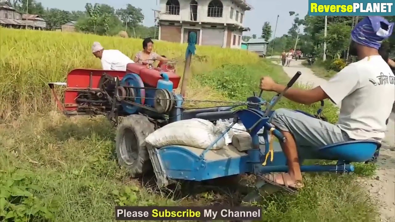Rice Plant Cutting Machine Working in Field - Reverse and Orginal Video ...
