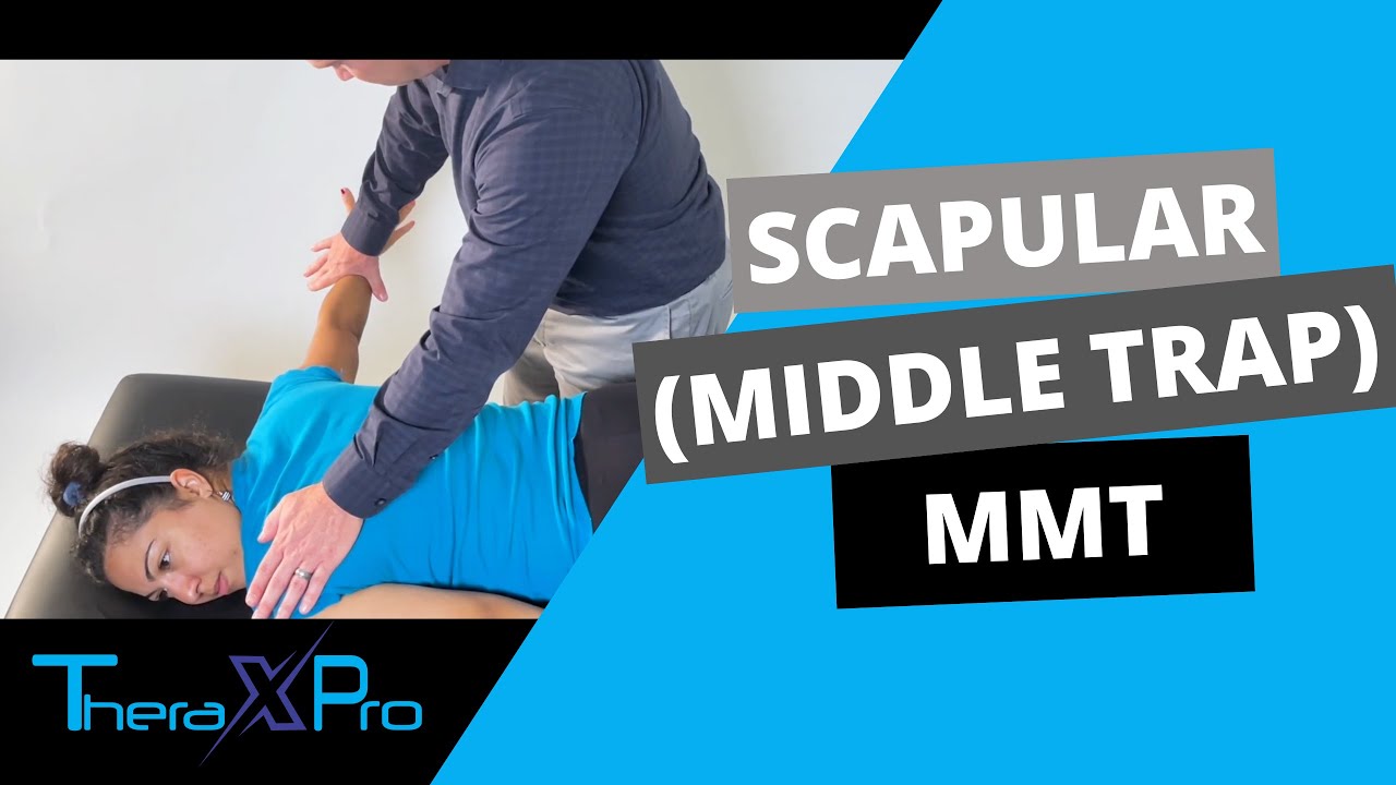 Manual Muscle Test | Scapular Retraction (Middle Trapezius Strength ...