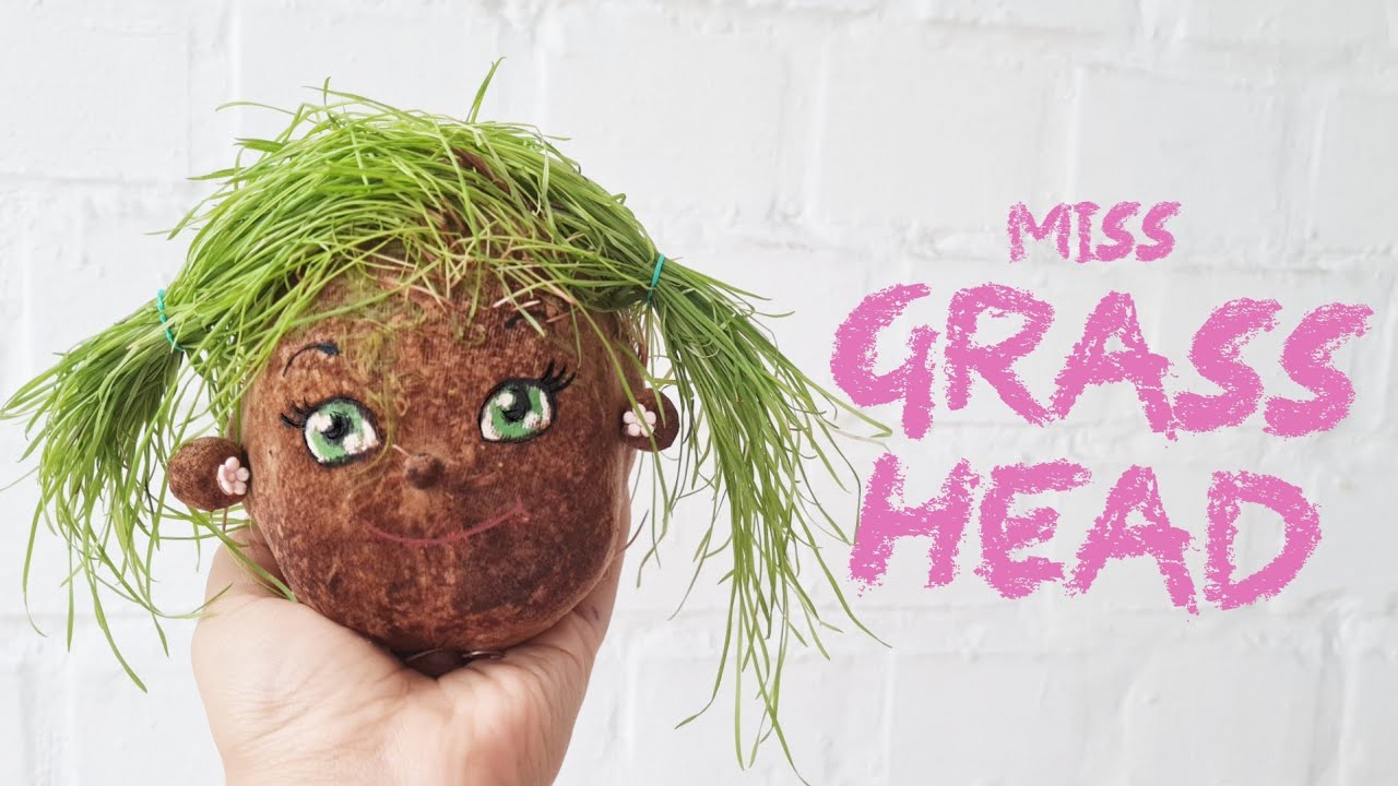 GRASS HEAD / Señor Cabeza de Pasto | Cocoliso - YouTube