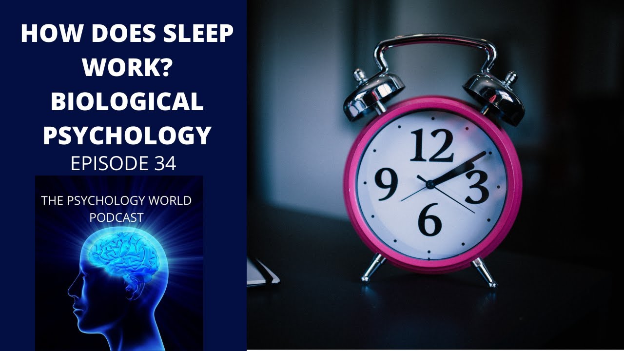 How Does Sleep Work? A Biological Psychology Podcast Episode. - YouTube
