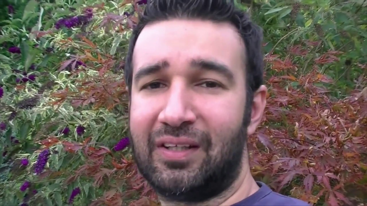 Mahood Media - 25th Anniversary - Part III - YouTube