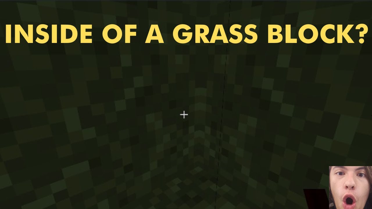 This Is What The Inside Of A GRASS BLOCK Looks Like! - YouTube