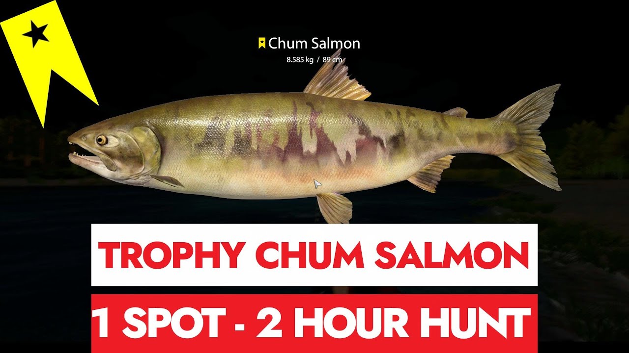 RF4 - RUSSIAN FISHING 4 - TROPHY CHUM SALMON - YouTube