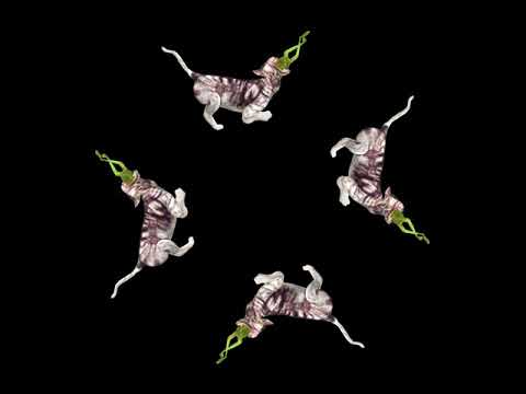 TS LIFE LAB_2 D.N.A. holograms